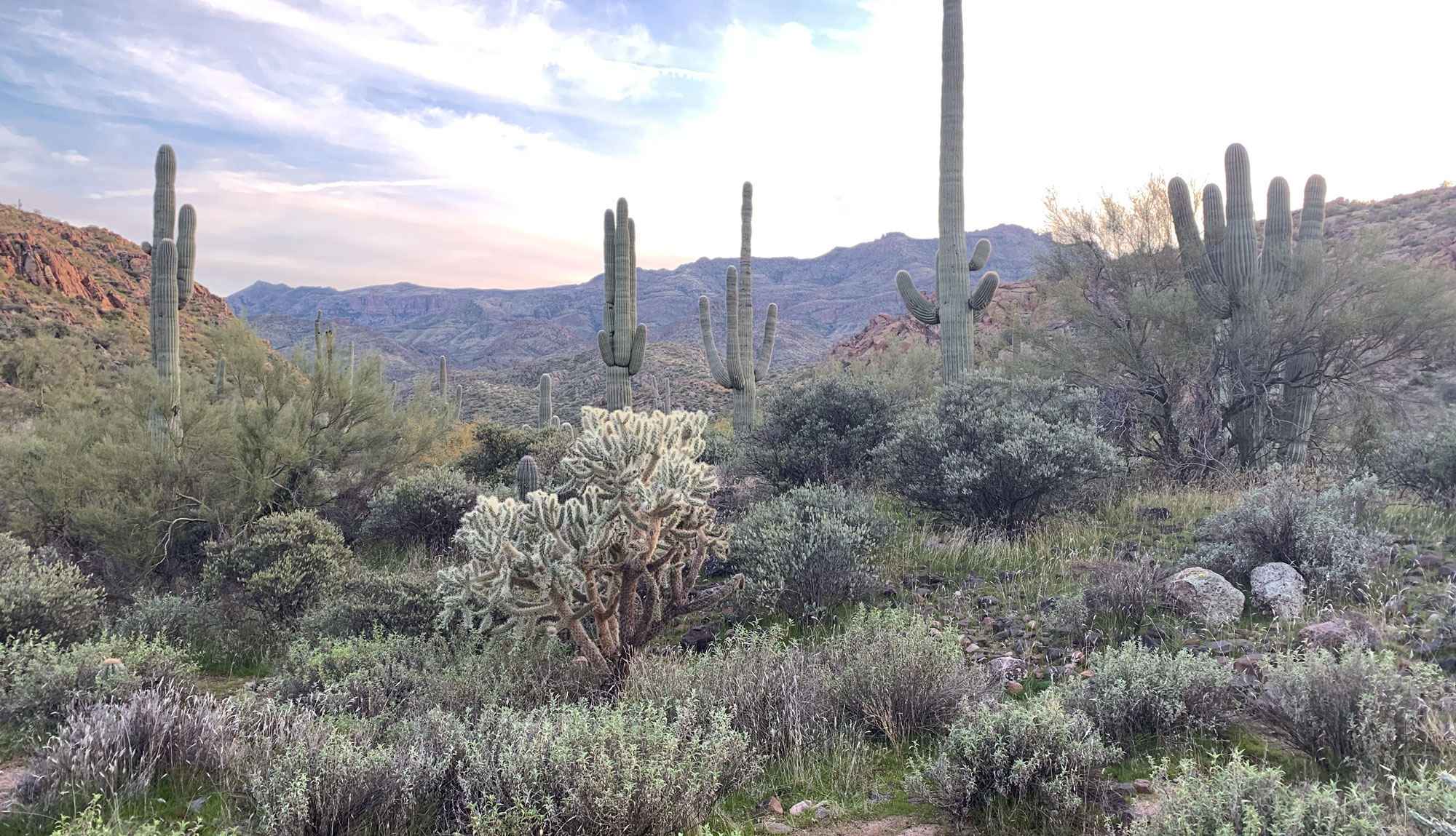Hikes near Cave Creek Arizona - WildPathsAZ