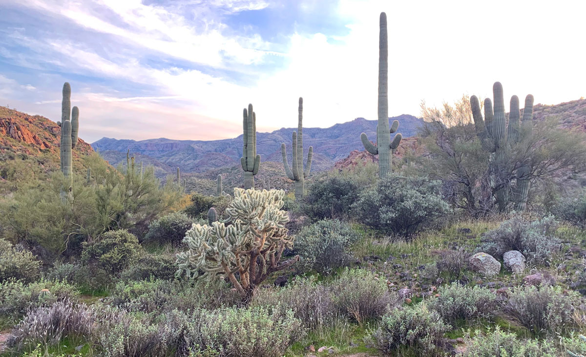 WildPathsAZ - Arizona Hikes, Canyons, and Adventures