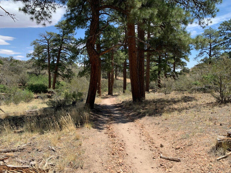 Hike Cape Final on North Rim : Grandest view - WildPathsAZ