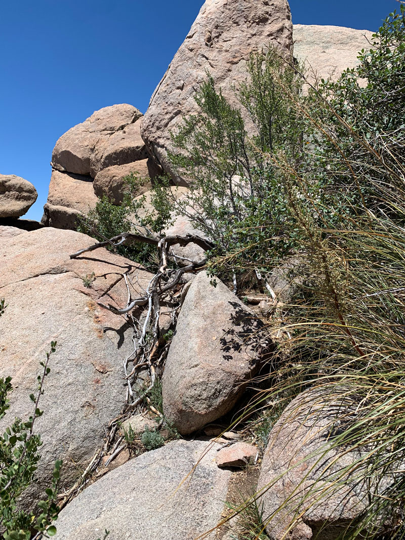 Hike Granite Mountain and see how to scramble to the peak - WildPathsAZ