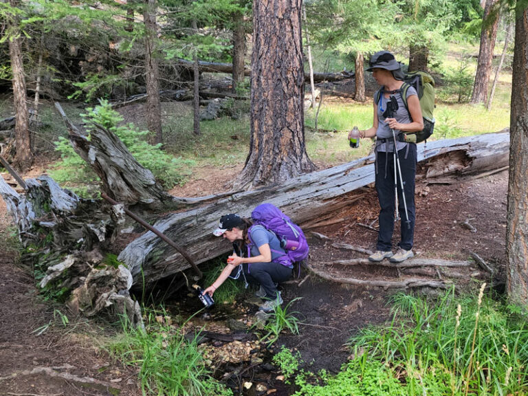 Hike Cabin Loop Trail for pure summer magic - WildPathsAZ