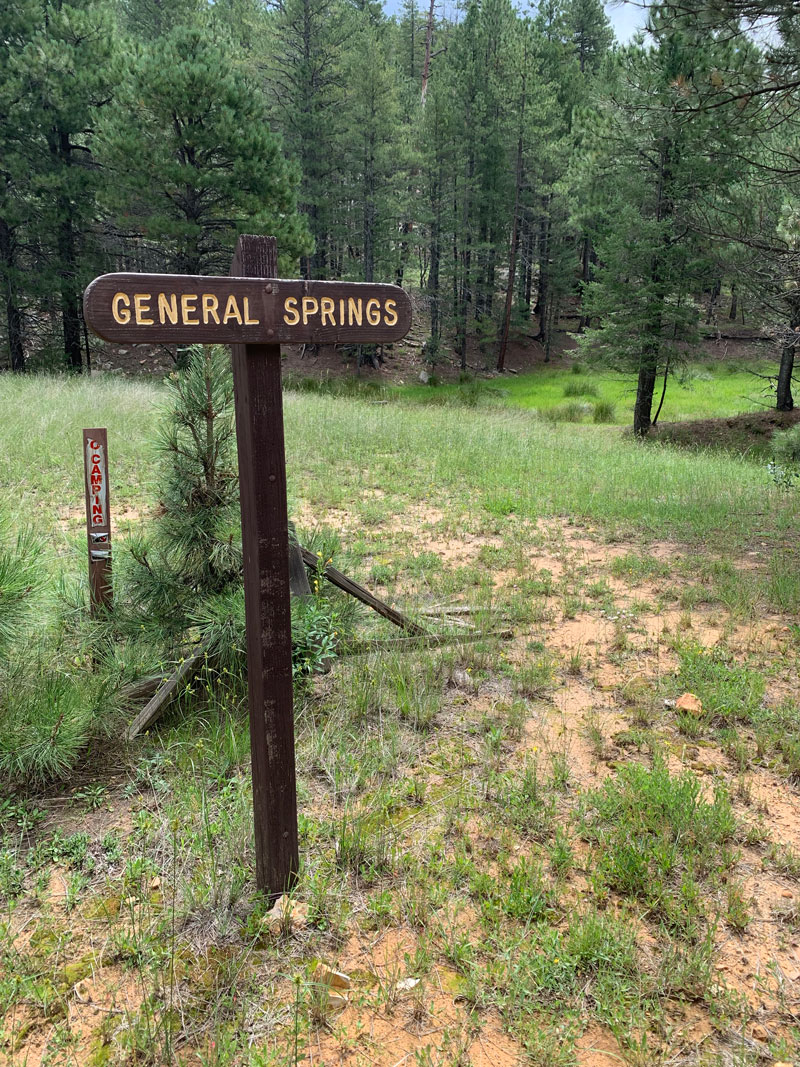Hike Cabin Loop Trail for pure summer magic - WildPathsAZ