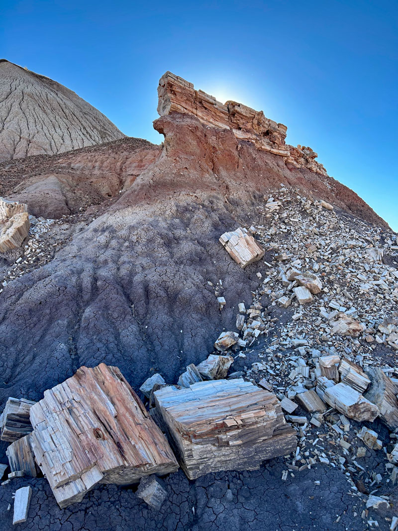 Hike the Historic Blue Forest Trail - WildPathsAZ