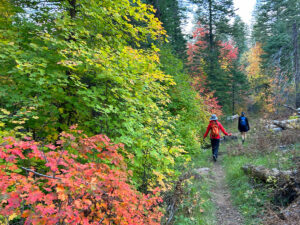 WildPathsAZ - Arizona Hikes, Canyons, and Adventures