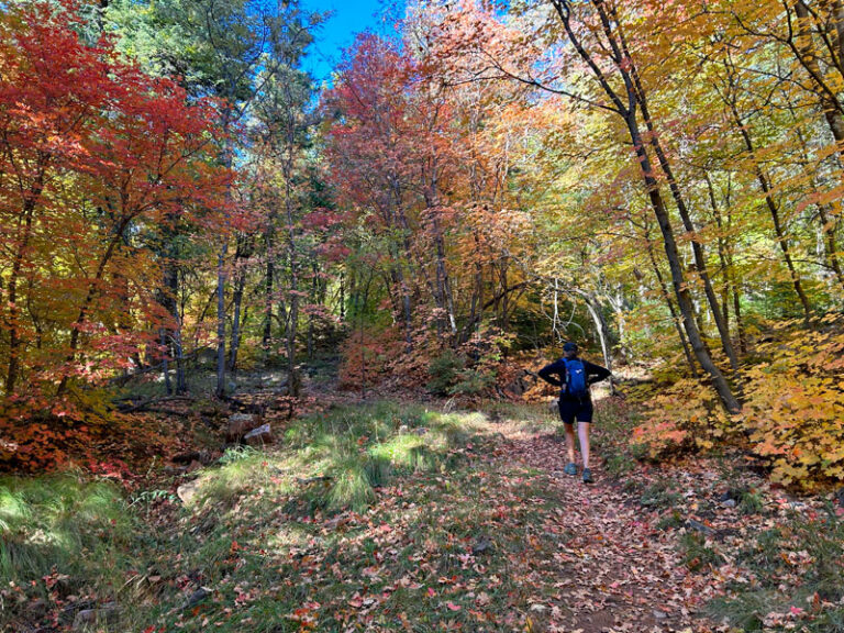 Hike See Canyon for glorious fall color - WildPathsAZ