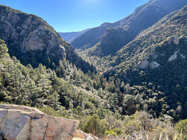 Hike Ramsey Canyon for birds, history, and fall color - WildPathsAZ