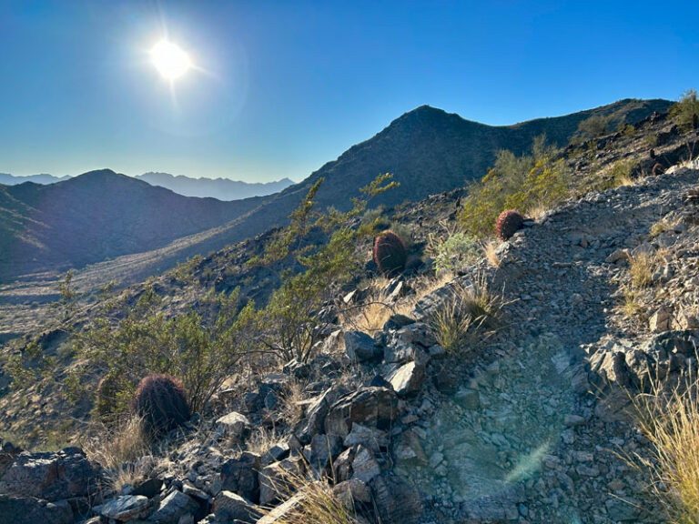 Hike to ruins and a mine on Lost Ranch Loop - WildPathsAZ