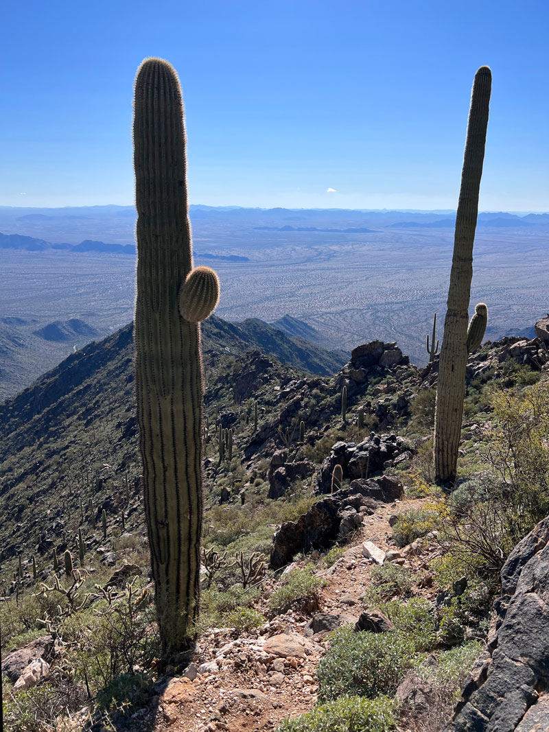 Hike Quartz Peak | A gem in the desert - WildPathsAZ