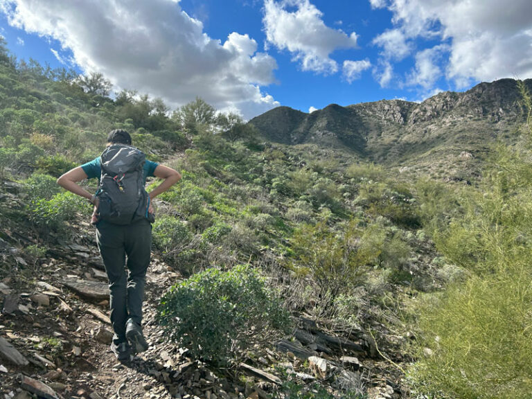 Hike Piestewa's Little Sister, Dixie Peak - WildPathsAZ