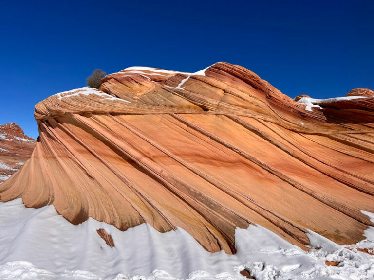 Experience Stunning Sandstone Swirls At The Wave Wildpathsaz