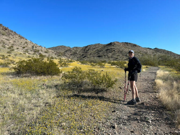 Hike South Mountain Ridgeline | Epic Phoenix Views - WildPathsAZ