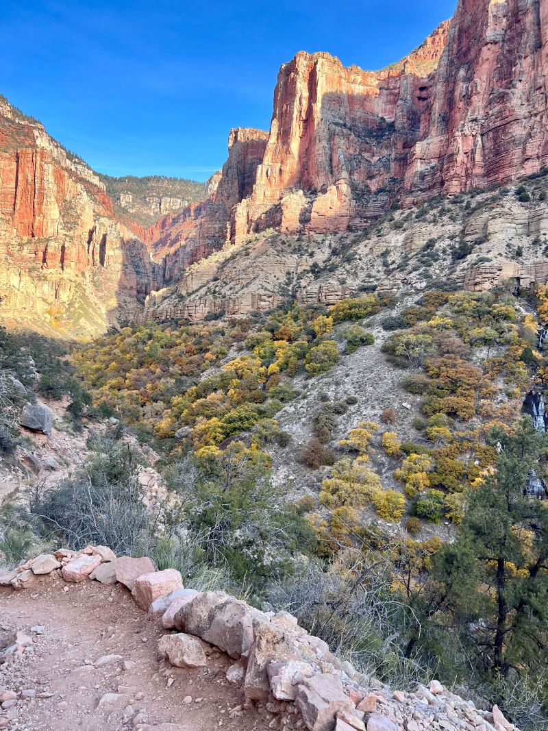 Hike Grand Canyon Rim to Rim | Complete Guide - WildPathsAZ