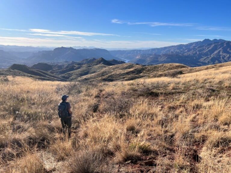 Hike to a 200-foot waterfall | Reavis Falls - WildPathsAZ