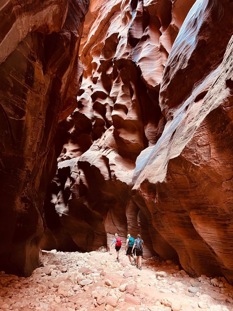 Hike Buckskin Gulch | One of the longest slot canyons in the world - WildPathsAZ