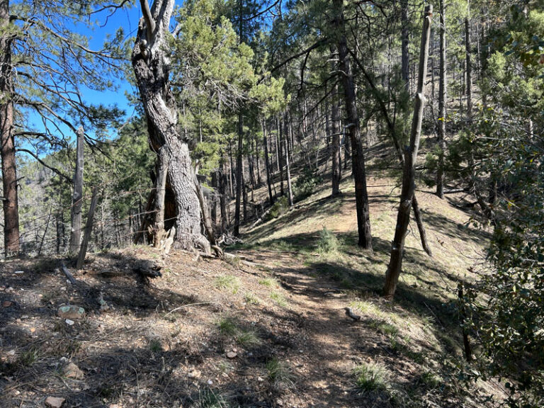 Hike Secret Mountain | Epic views at a price - WildPathsAZ
