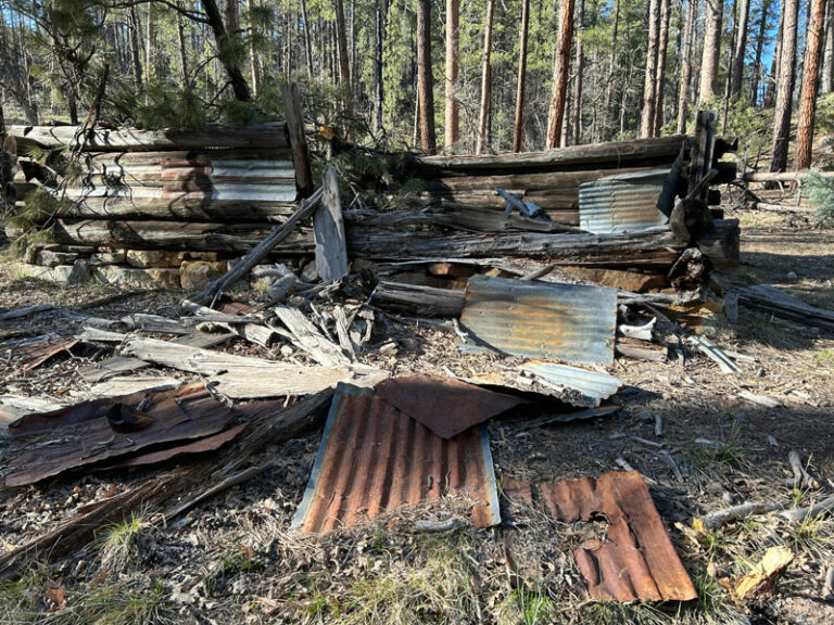 Hike Secret Mountain | Epic views at a price - WildPathsAZ