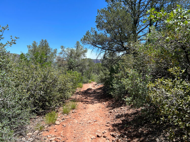 Hike Fossil Springs (Bob Bear) | Paradise in Arizona - WildPathsAZ Hike Fossil Springs (Bob Bear) | Paradise in Arizona - WildPathsAZ