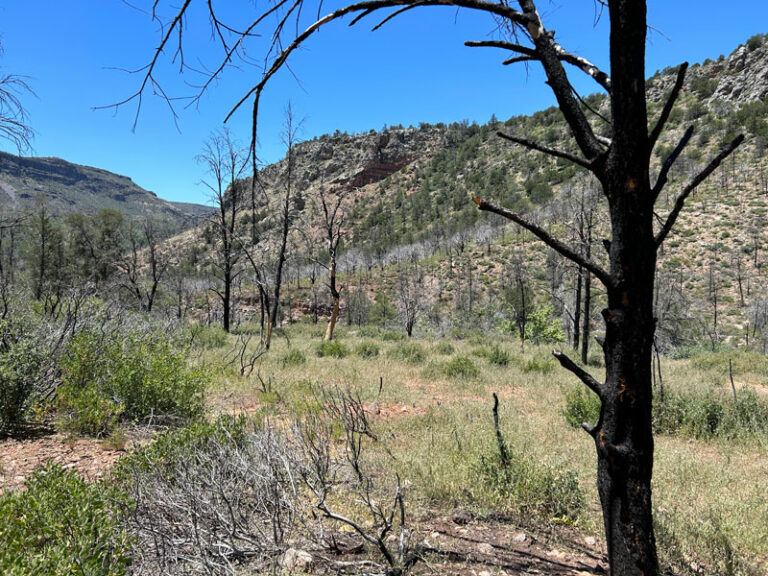 Hike Fossil Springs (Bob Bear) | Paradise in Arizona - WildPathsAZ