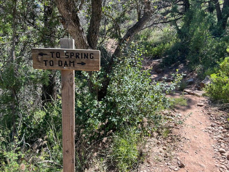Hike Fossil Springs (Bob Bear) | Paradise in Arizona - WildPathsAZ Hike Fossil Springs (Bob Bear) | Paradise in Arizona - WildPathsAZ