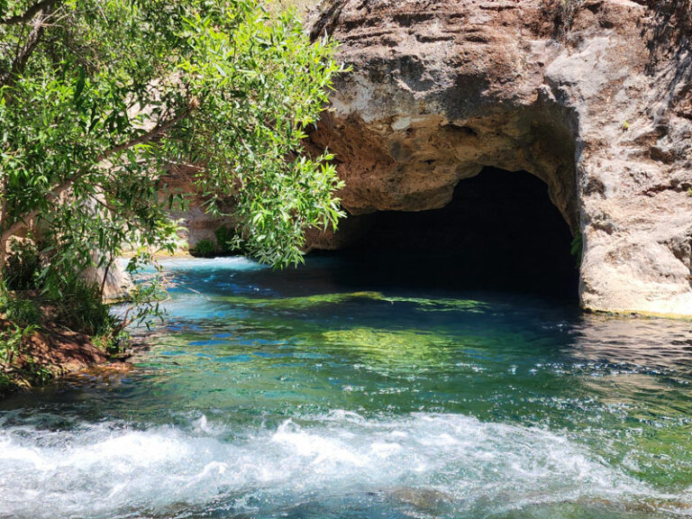 Hike Fossil Springs (Bob Bear) | Paradise in Arizona - WildPathsAZ Hike Fossil Springs (Bob Bear) | Paradise in Arizona - WildPathsAZ