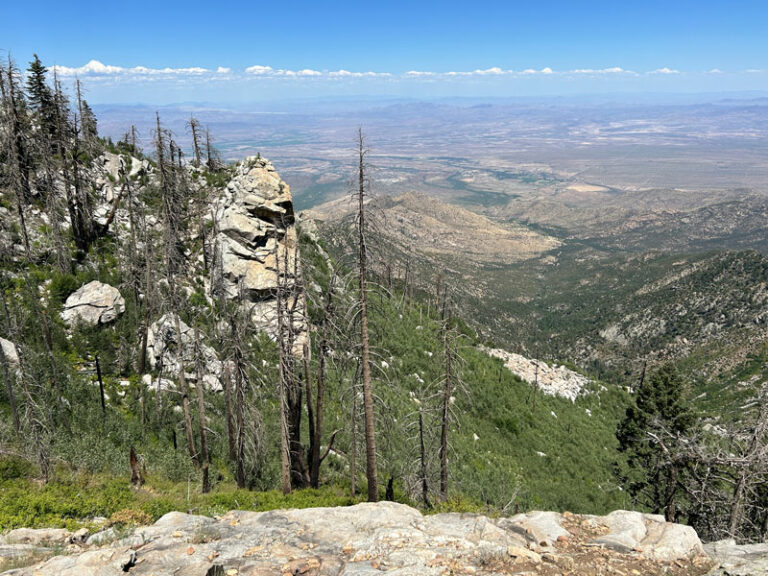 Hike Heliograph Peak to a 100-foot tall fire lookout - WildPathsAZ