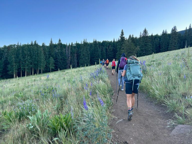Hike Humphreys Peak the highest point in Arizona - WildPathsAZ