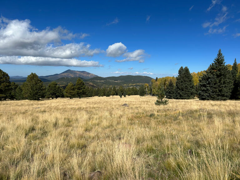 Hike Aspen Nature Loop for absolutely glorious fall color - WildPathsAZ