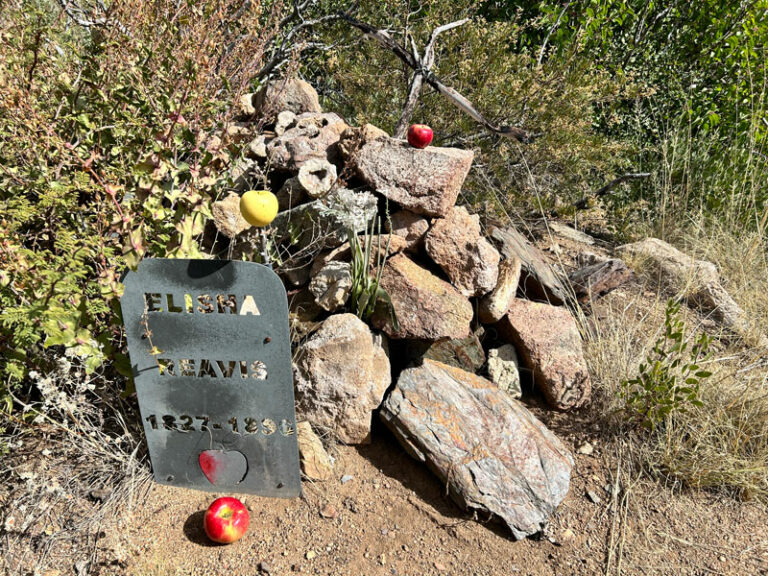 Hike to an Apple Orchard and Forest in the Desert | Reavis Ranch - WildPathsAZ