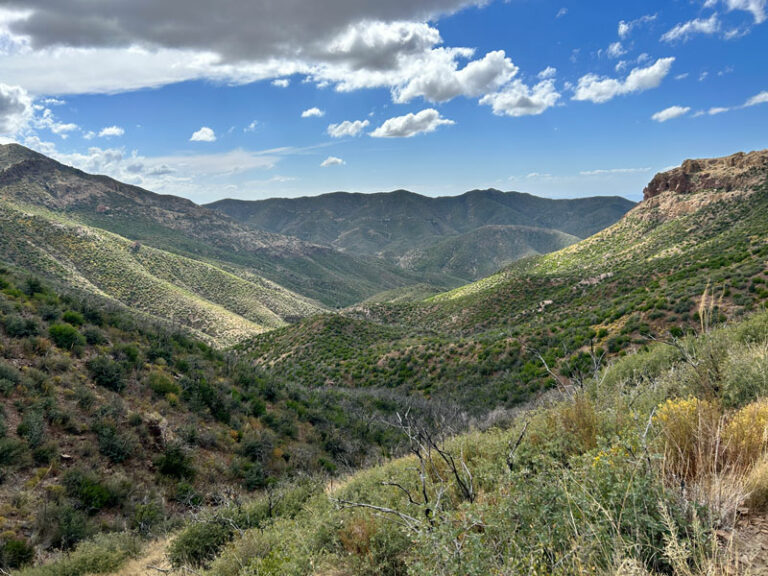 Hike to an Apple Orchard and Forest in the Desert | Reavis Ranch ...