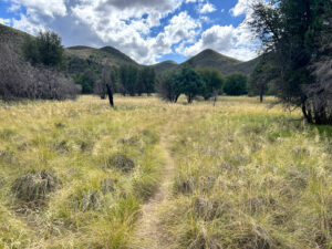 Hike to an Apple Orchard and Forest in the Desert | Reavis Ranch ...