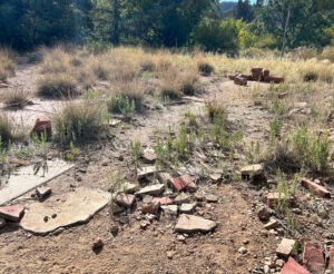 Hike to an Apple Orchard and Forest in the Desert | Reavis Ranch - WildPathsAZ