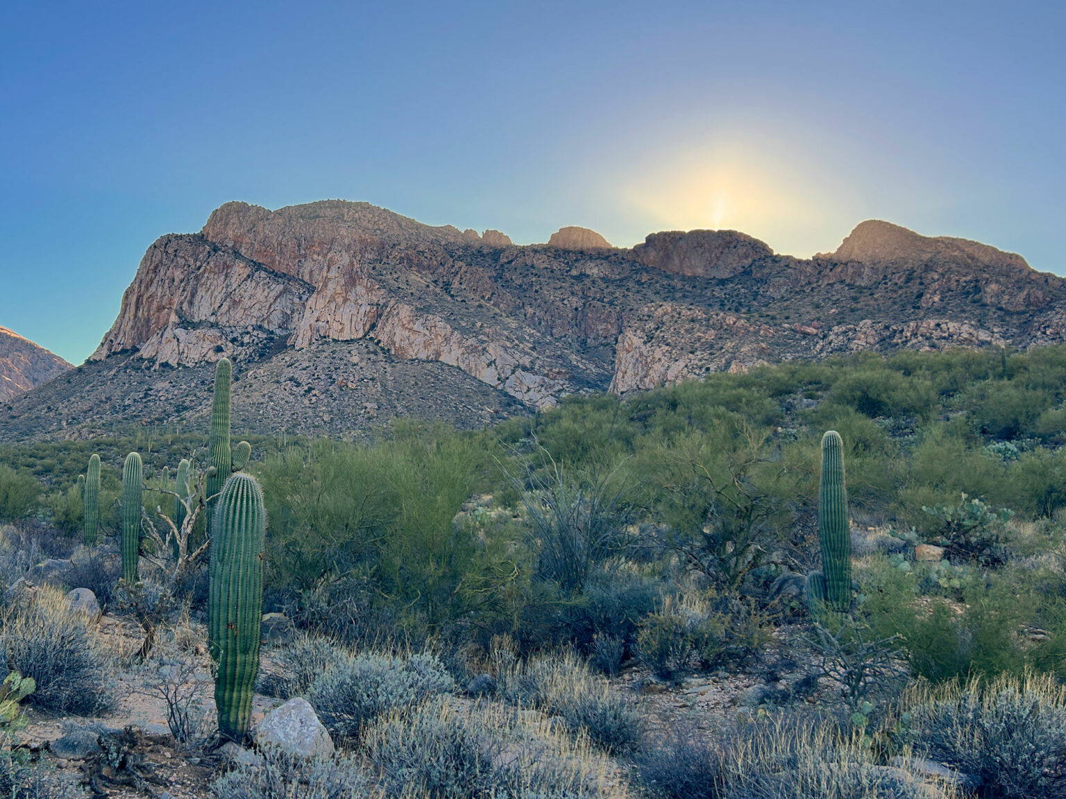 Pusch Peak | One of Tucson's steepest hikes - WildPathsAZ