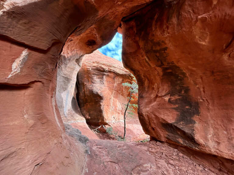 Hike Kachina Tree Cave to avoid Subway crowds - WildPathsAZ