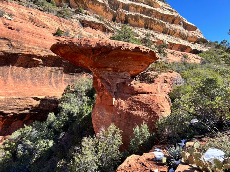 Hike Mushroom Rock with an optional trip to Sky Island - WildPathsAZ