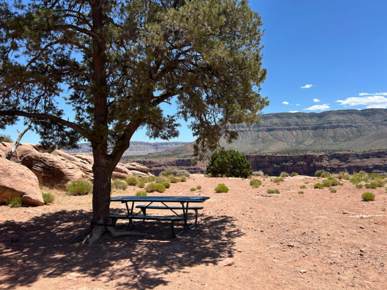 Toroweap Overlook | The most dramatic views of Grand Canyon - WildPathsAZ