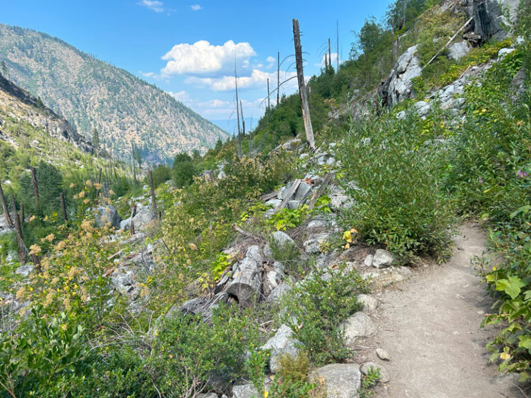 A Backpacker's Guide to The Enchantments - WildPathsAZ