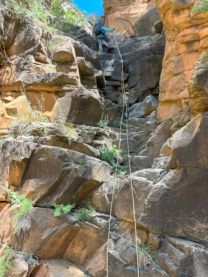 Hike Hanging Gardens and White Box - WildPathsAZ