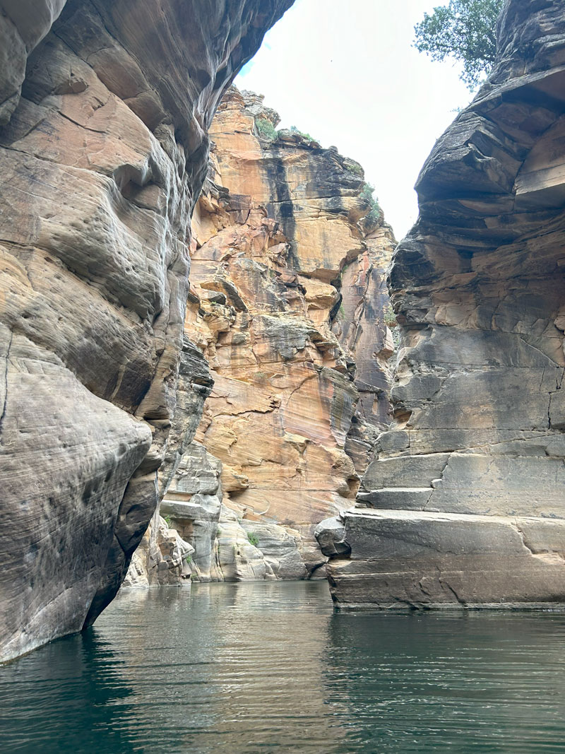 Hike Hanging Gardens and White Box - WildPathsAZ