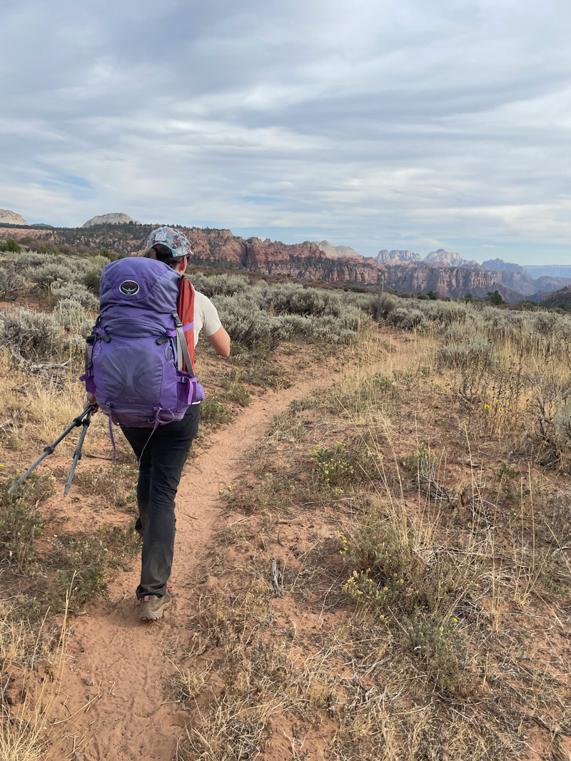 Guide to an incredible backpacking trip on the Zion Traverse - WildPathsAZ