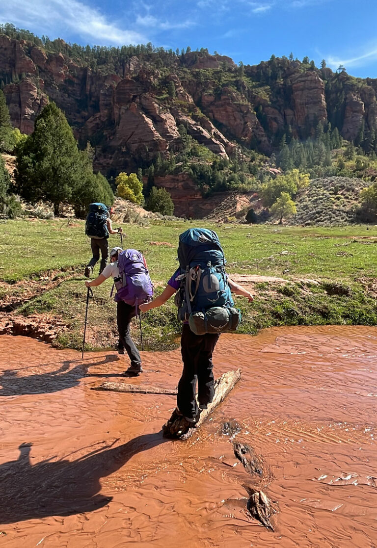 Guide to an incredible backpacking trip on the Zion Traverse - WildPathsAZ