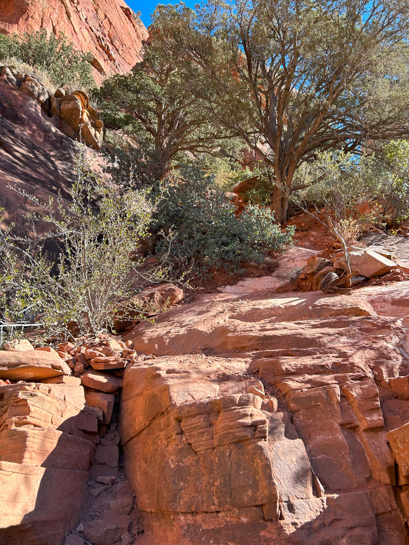 Hike Fay Canyon Arch - WildPathsAZ