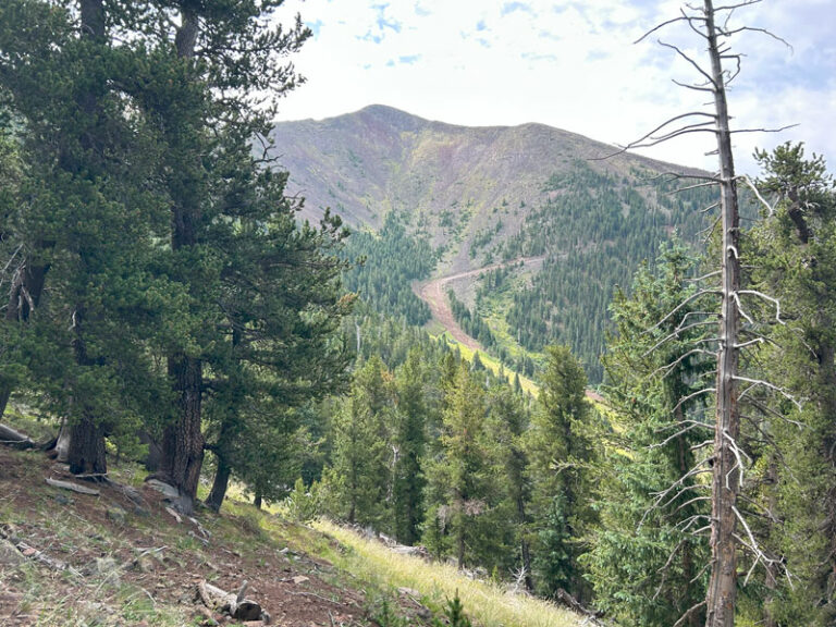 Hike Humphreys Weatherford Kachina Loop - WildPathsAZ