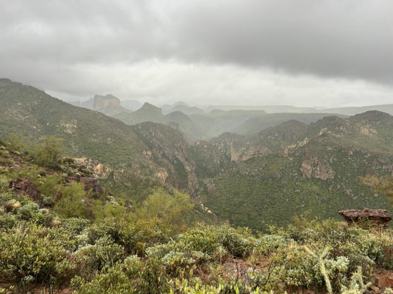 Hike the scenic Boulder Canyon Trail - WildPathsAZ
